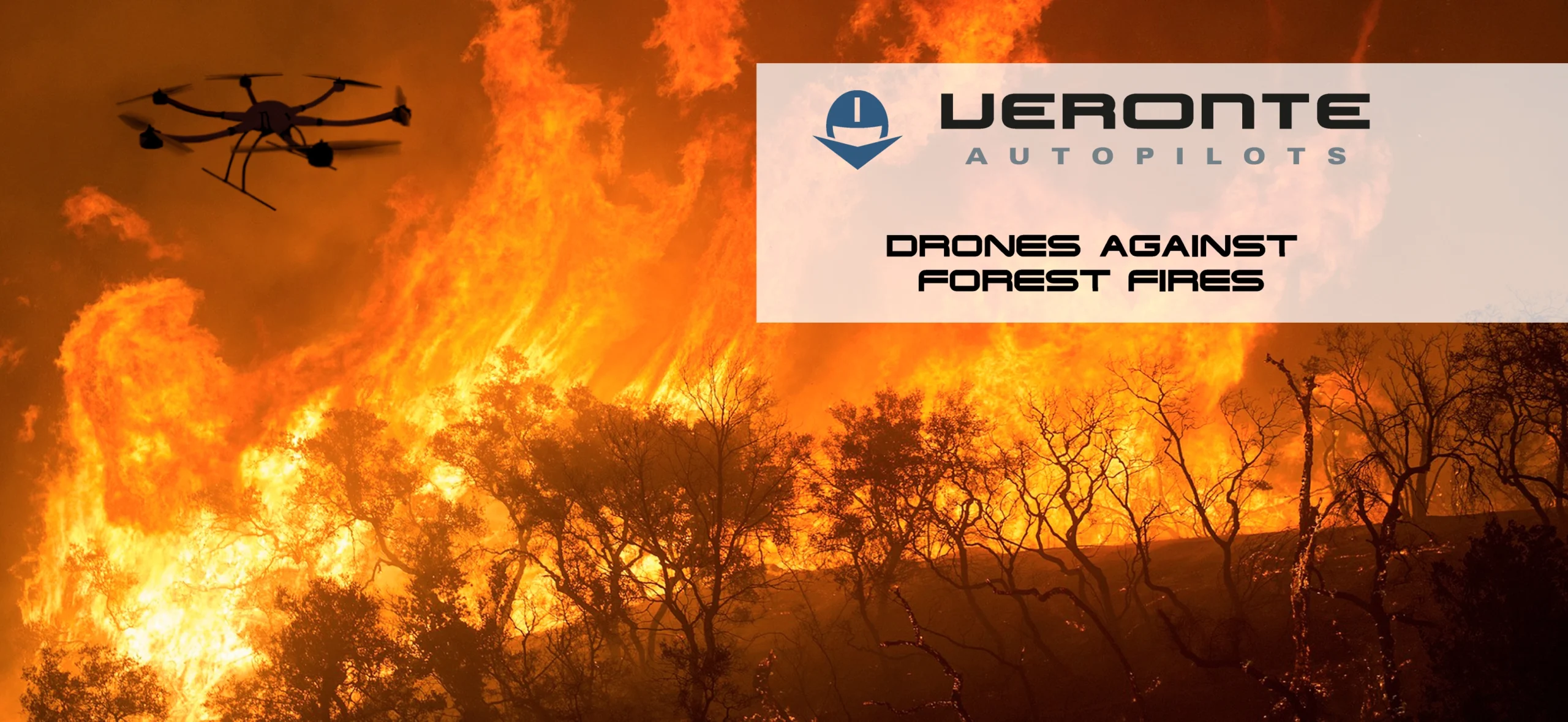 Drones Fighting Wildfires: A Game Changer